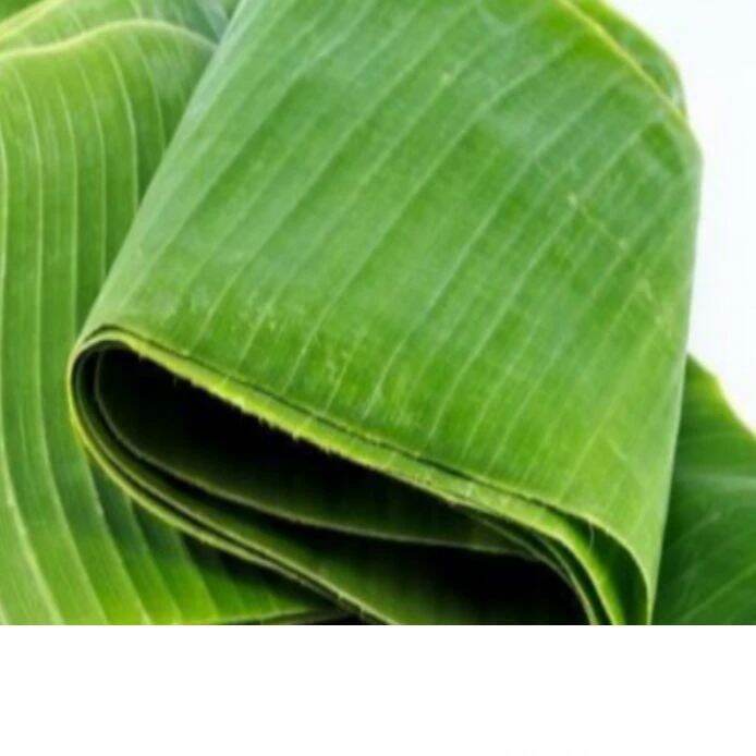 Daun Pisang Segar 1kg Lazada Indonesia
