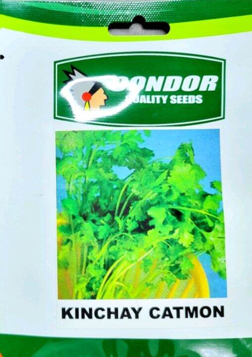CATMON OPV KINCHAY SEEDS (10 GRAMS) CONDOR SEEDS | Lazada PH