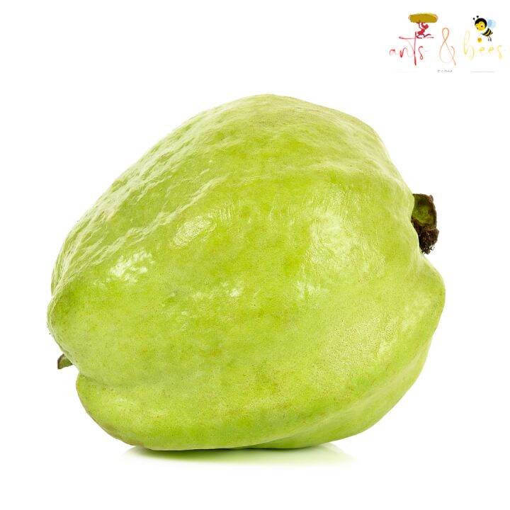 20 Seeds for Planting Apple Guava Fruit Plant | Lazada PH