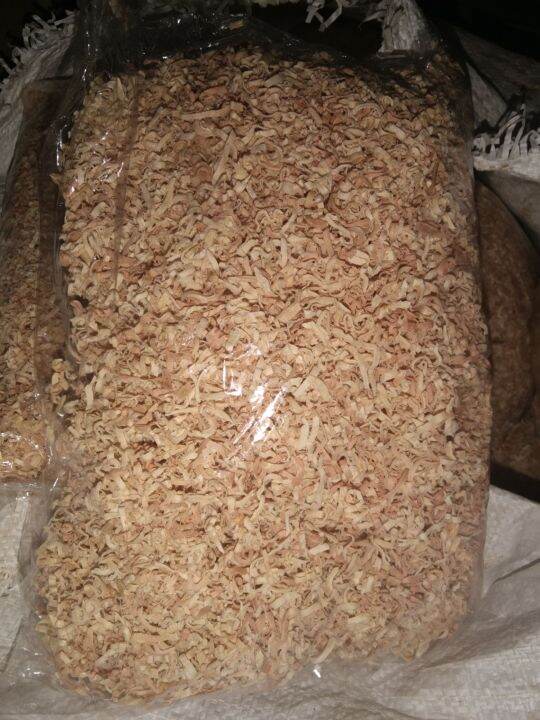 kusot for Birds and hamster | Lazada PH