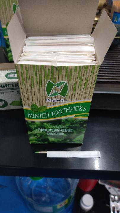 individual wrap minted toothpick mr bamboo approx 1000 pc | Lazada PH