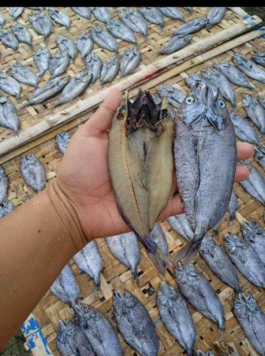 Layget Taba Nyolok from Bicol dried fish 100g to 1kilo | Lazada PH