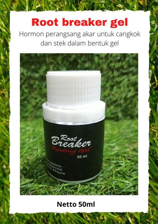 Root Breaker Gel | Lazada Indonesia