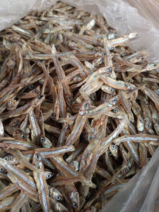 Dried fish Dilis Medium size 250g | Lazada PH