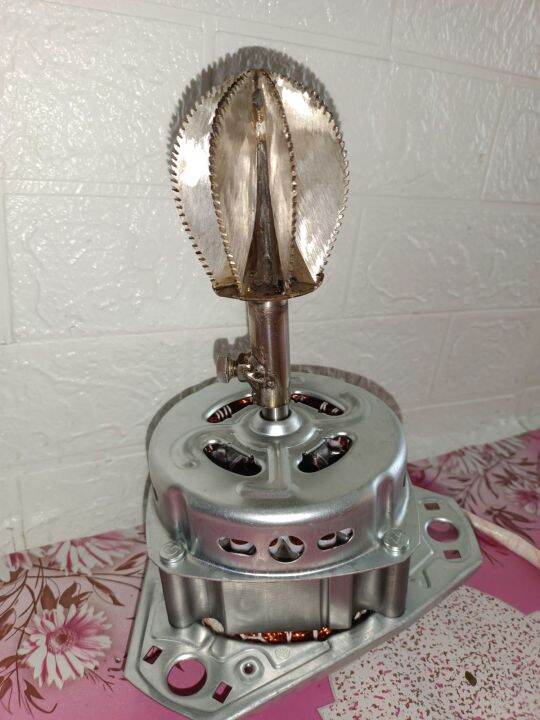 Coconut Grater Blade Stainless 12mm fit in washing machine | Lazada PH