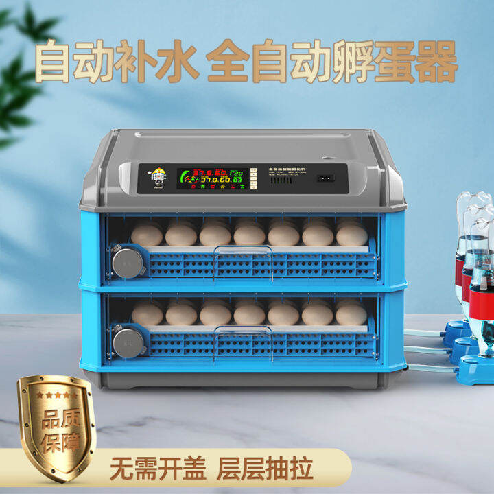 Rutin Incubator Egg Incubator Small Egg Machine Incubator Small ...