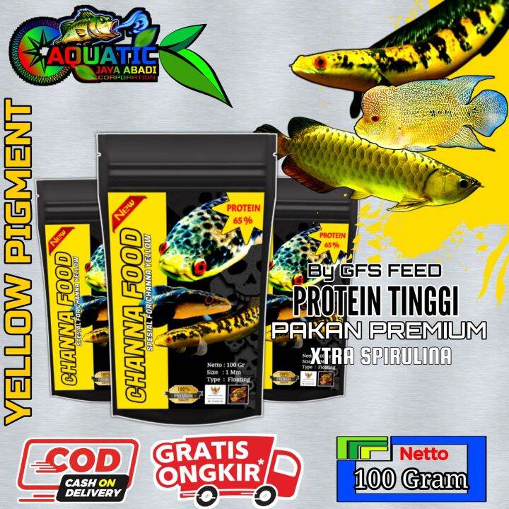 Channa Food Yellow 100 Gram Pakan ikan Channa Protein tinggi | Lazada ...