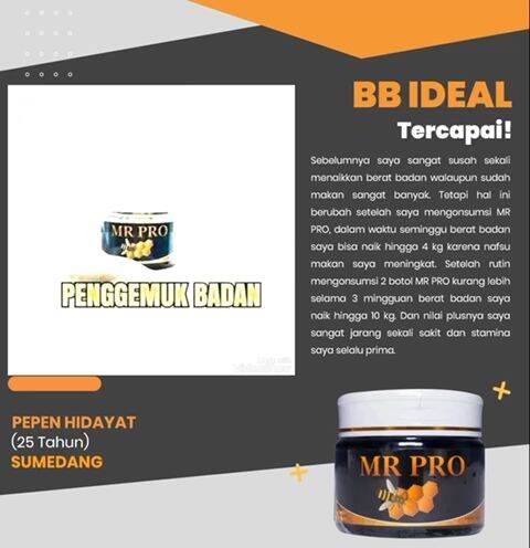 Madu Propolis MR PRO HWI Original | Lazada Indonesia