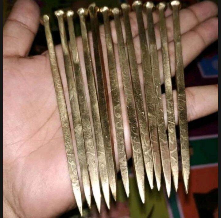 paku bumi Kuningan rajah 12cm | Lazada Indonesia