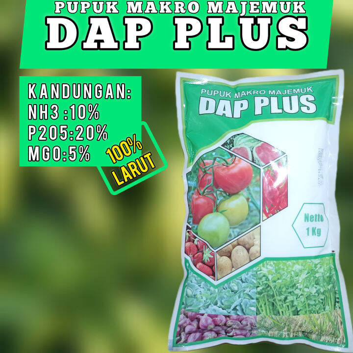 Dap Plus Pupuk Makro majemuk kmsn 1kg Pupuk Diamonium Phosphate (DAP ...