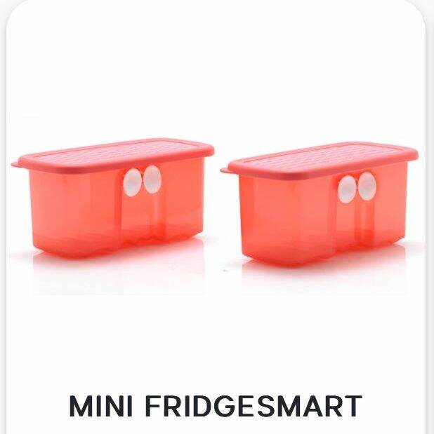 Tupperware Mini Fridgesmart 2pcs | Lazada