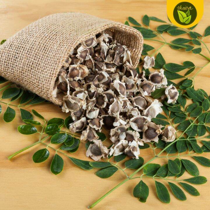 10 seeds for planting malunggay binhi pantanim vegetable outdoor garden ...