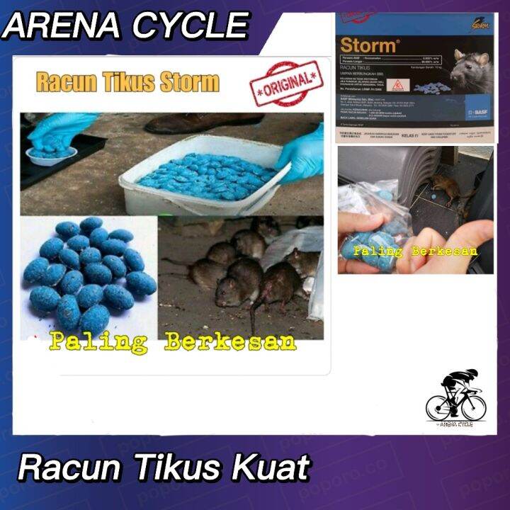 Racun Tikus Storm Yang Paling Kuat ,Ubat Tikus 20Biji 1 Beg | Lazada