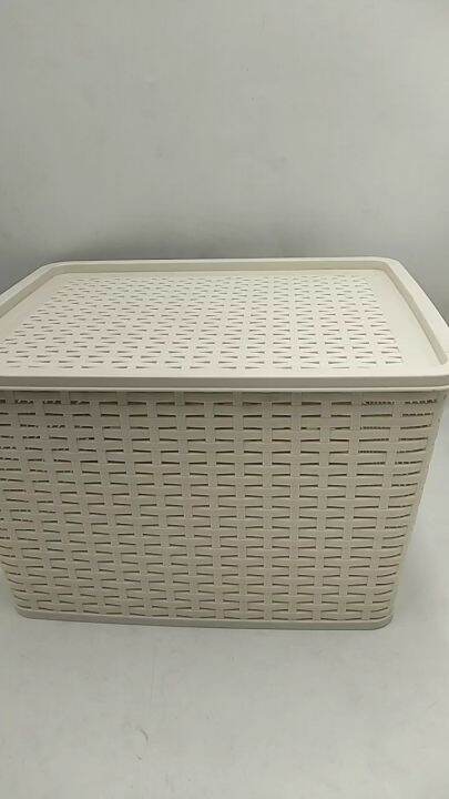 Zooey Rattan Eco Tray Stock No. 258 Large | Lazada PH