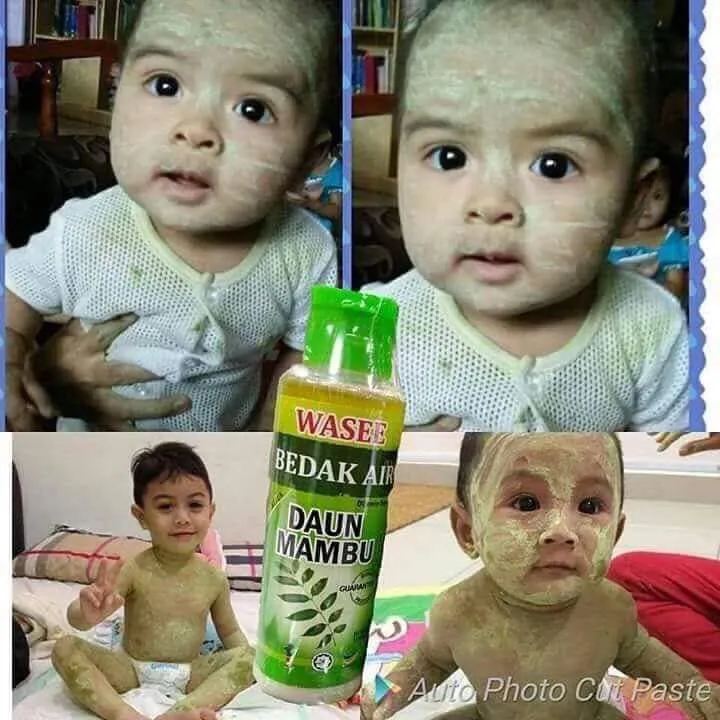 BEDAK SEJUK DAUN SEMAMBU | Lazada