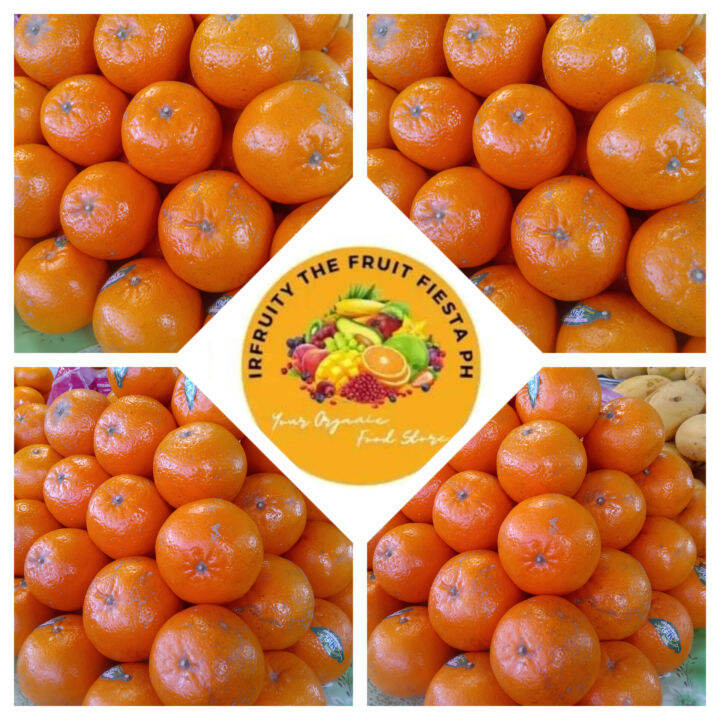 Fresh Sweet Poncan Carachi for only ₱600 for 10pcs. | Lazada PH