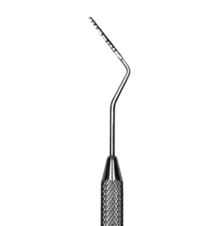 dental Goldman fox probe stainless steel | Lazada