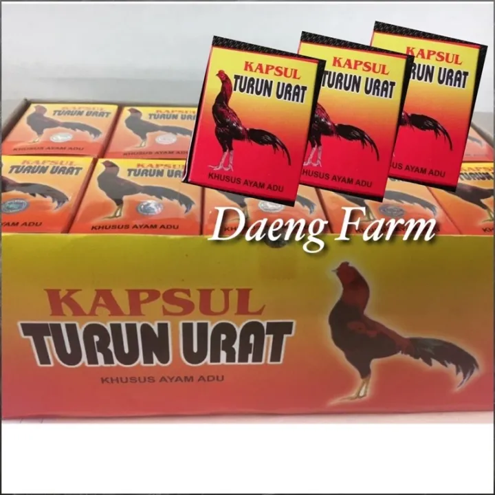 Ubat Ayam Turun Urat Kaki Bengkak Kaki Lembik Sendi Lembik Kaki Sendi ...