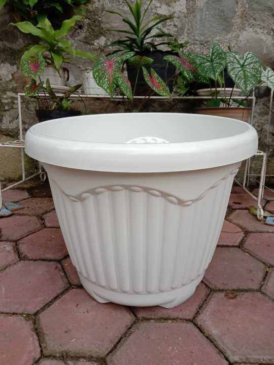 Pot Tanaman Besar Jumbo ukuran 50/Pot Bunga Tanaman Jumbo Mio Shallom ...