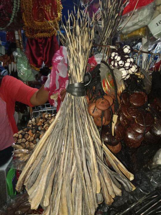 buntot pagicharm pampaswerte sa bahay | Lazada PH