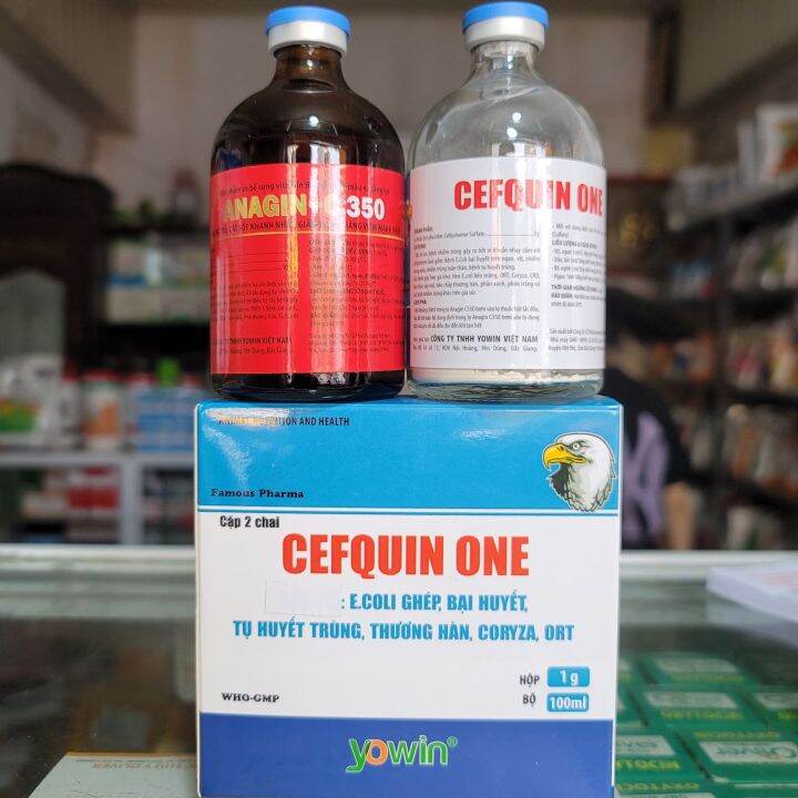 Cặp CEFQUIN ONE chuyên Ecoli, Bại Huyết, Tụ Huyết Trùng, Thương Hàn ...
