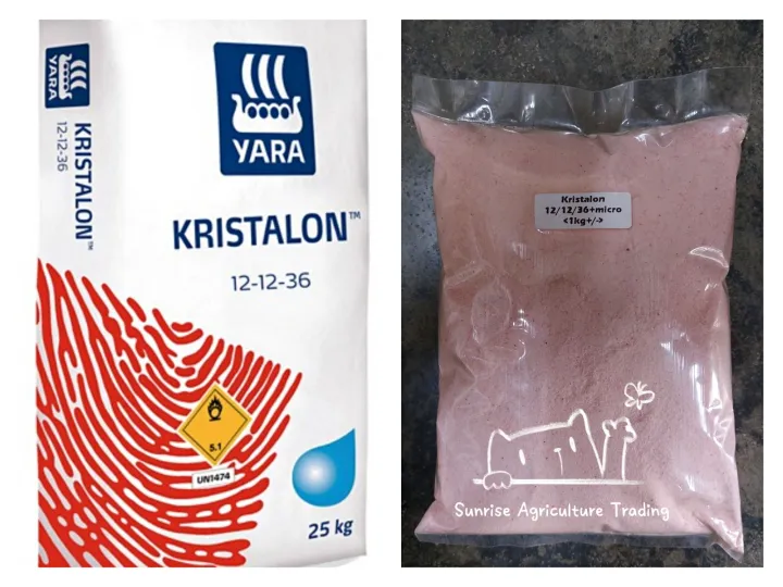 1kg Kristalon 12/12/36+micro / Baja Buah / Yara | Lazada