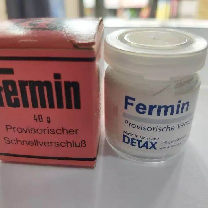 Fermin Temporary Filling 40g | Lazada PH