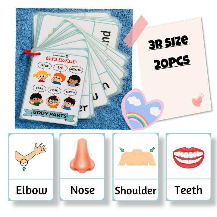 BODY PARTS FLASHCARD Laminated 3R size(20pcs) | Lazada PH