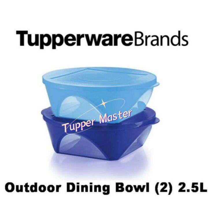 Tupper@ware Outdoor Dining Bowl (2pcs) 2.5L | Lazada