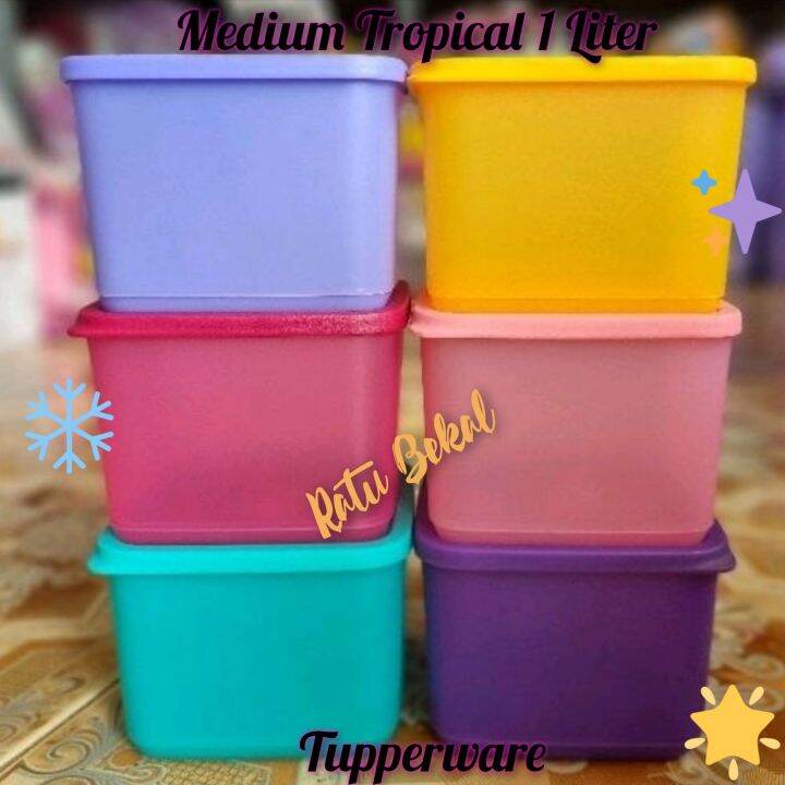 Tupperware !!! Medium tropical 1 liter summer fresh tropical fiesta 1 ...