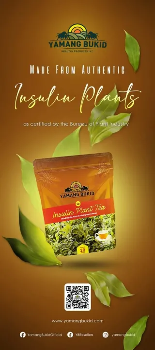 Insulin Tea | Lazada PH