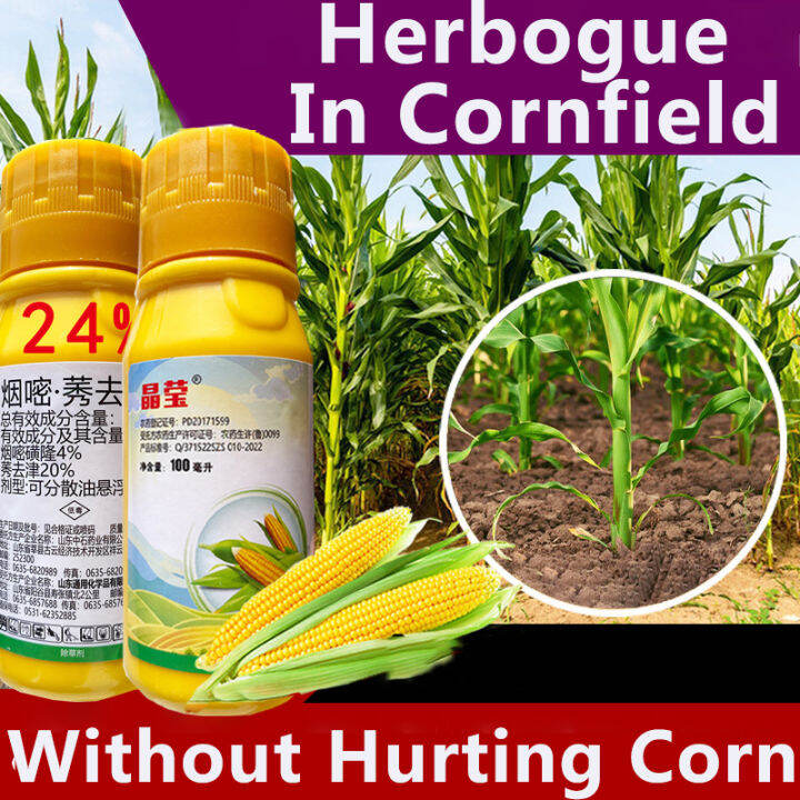 【Authentic】racun rumput mati akar racun rumput paling kuat murah 除草剂 ...