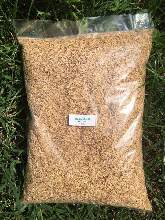 Rice Hull / Ipa (Super Clean ) 1KILO | Lazada PH