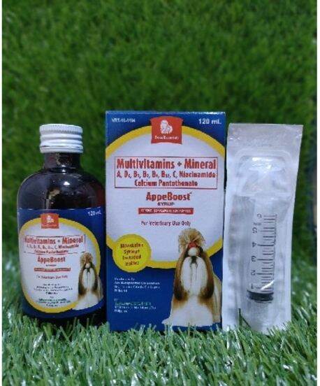 Appeboost Multivitamins + Mineral 120ml | Lazada PH