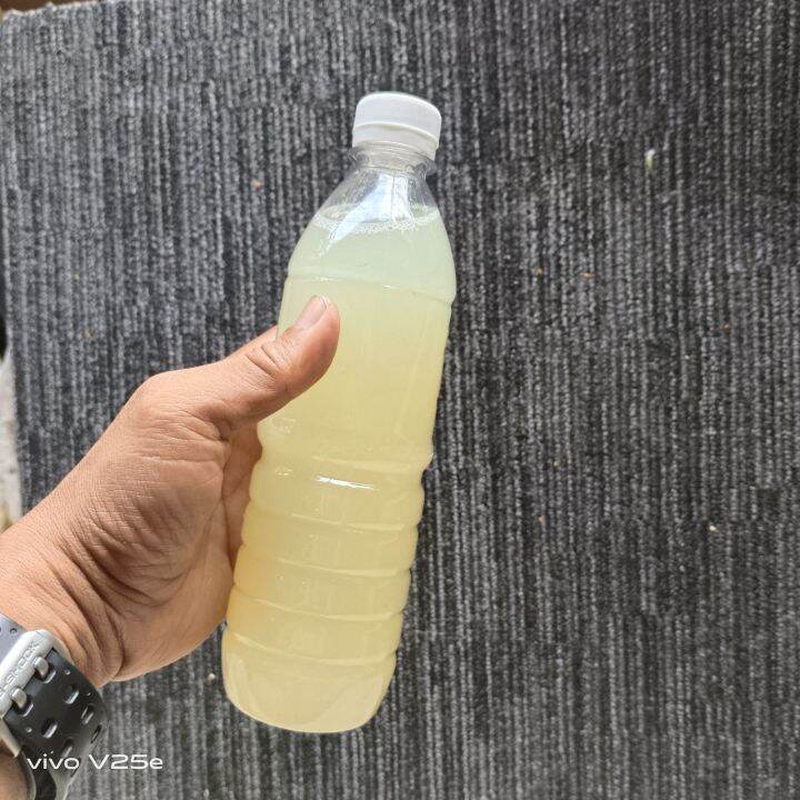 Sukang Tuba romblon pure organic 100% class A coconut vinegar 500ml ...