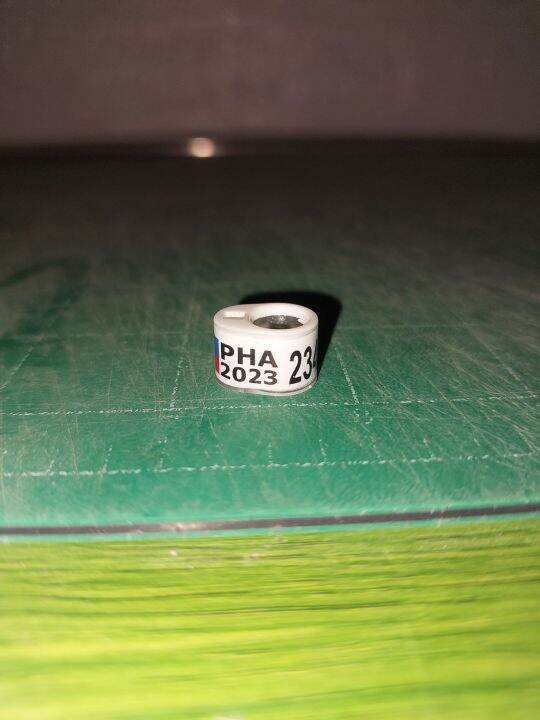 PHA 2023 OBLONG ring WHITE 10 pcs | Lazada PH