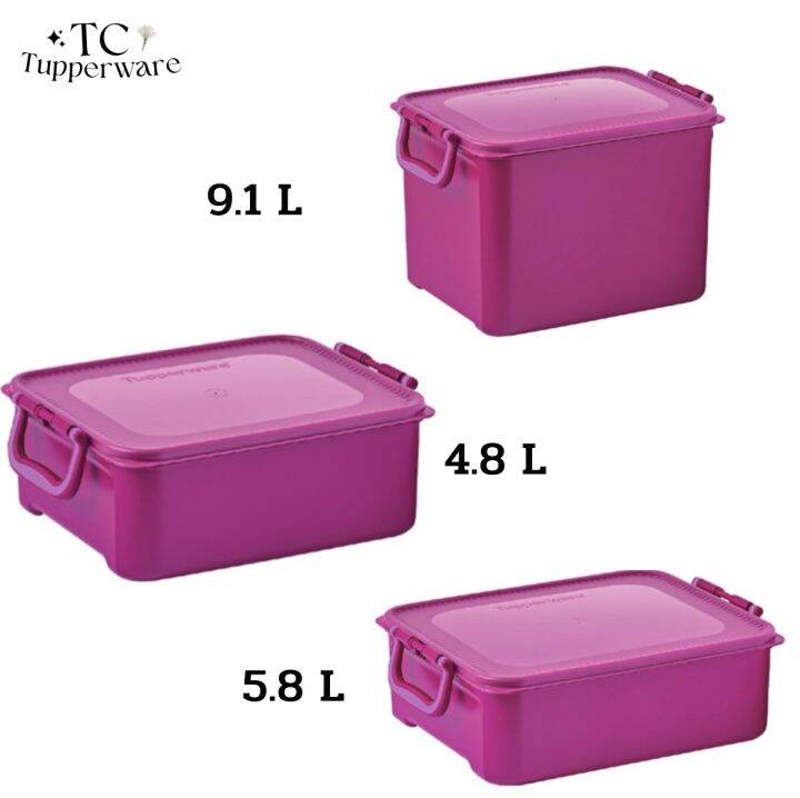 Tupperware treasure keeper | Lazada.co.th
