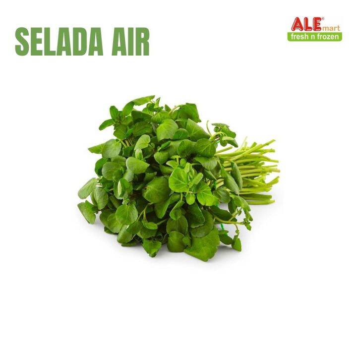 Selada air fresh, sayur selada air segar, selada air | Lazada Indonesia