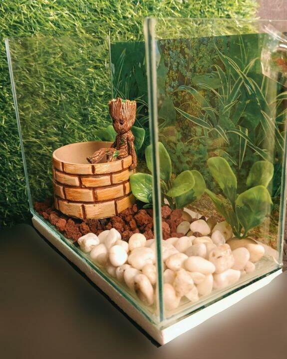 BETTA TANK GROOT ON WELL 8*4*6 Inches | Lazada PH