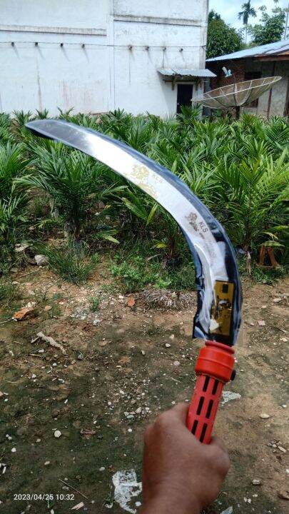 Egrek Sawit KLS PALM KING Pro Set pro blade Original | Lazada Indonesia