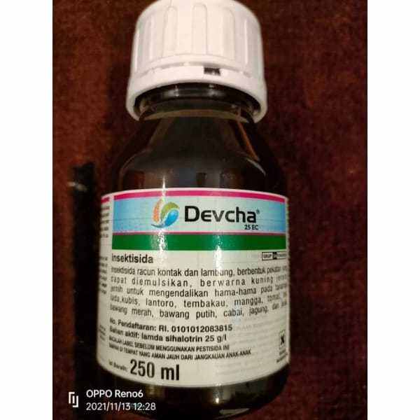 INSEKTISIDA DEVCHA 25EC-250ml | Lazada Indonesia