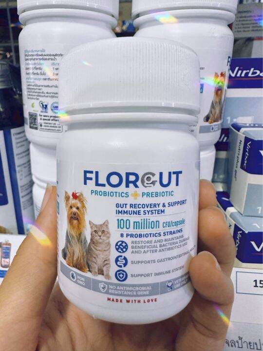 Florgut ฟลอกัท อาหารเสริม probiotic&prebiotic สำหรับสัตว์เลี้ยง 30 ...