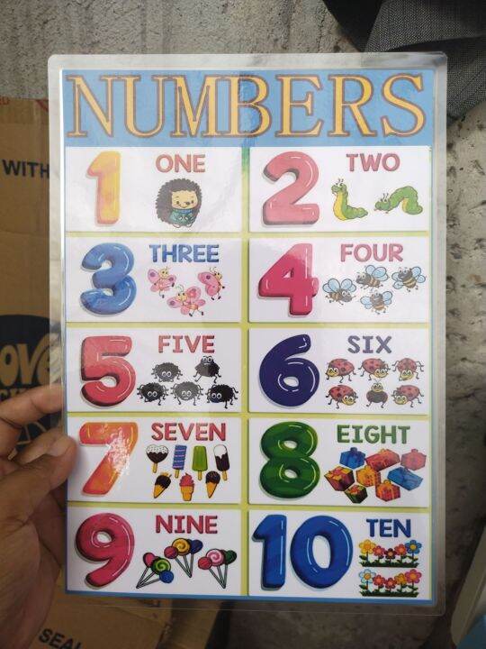 Number chart laminated | Lazada PH