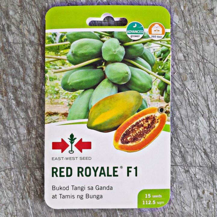 RED ROYALE F1 HYBRID RED FLESH PAPAYA (15 SEEDS) EAST WEST SEED | Lazada PH