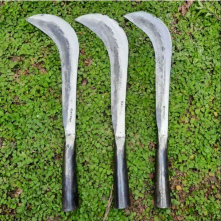 Perkakas kebun Baja Arit Potong rumput babat ilalang | Lazada Indonesia