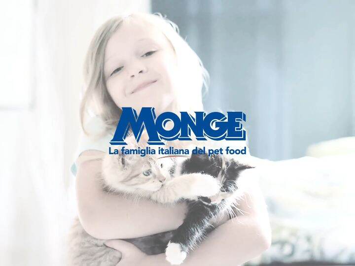 Monge B-wild Mini Adult Grain Free Anchovies, Potatoes and Peas 2.5 Kg ...