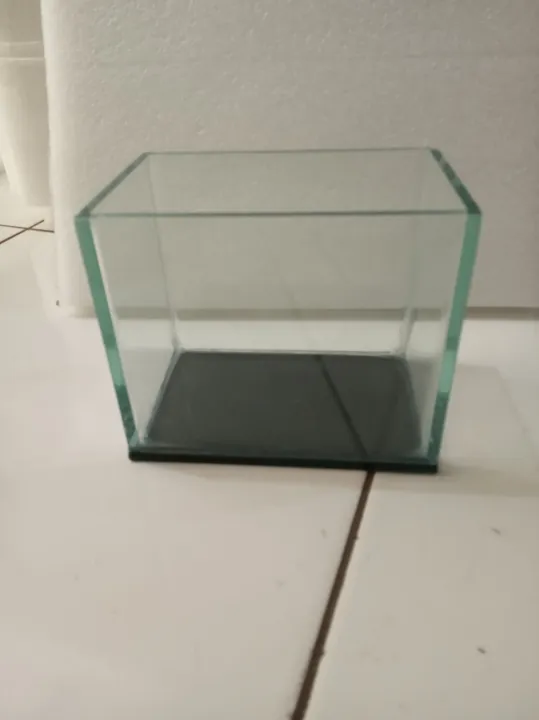 Soliter ikan cupang ukuran*15*10*12 aquarium minimalis | Lazada Indonesia