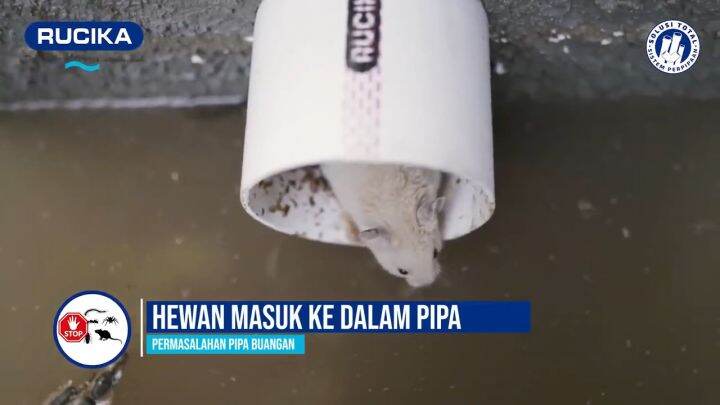 Katup Pipa Saluran Pembuangan Air Got Ukuran 3 Inchi | Lazada Indonesia