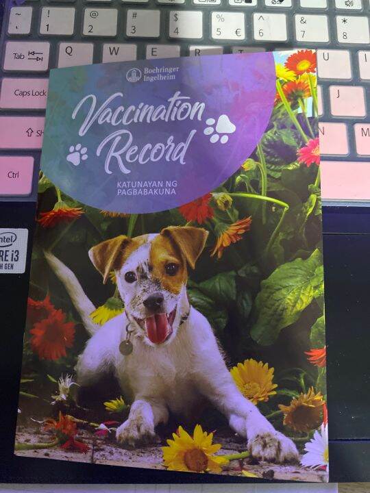 Vax card | Lazada PH