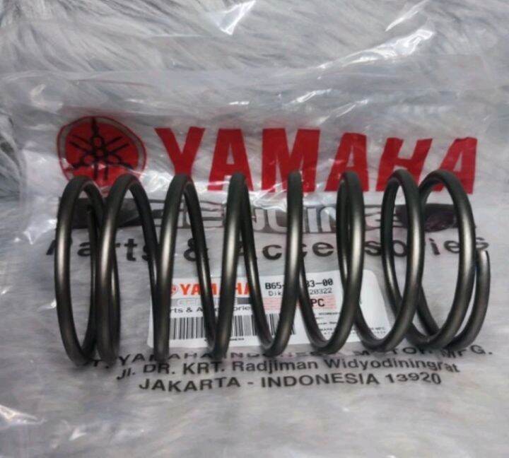 Original Yamaha Torque Drive Center Spring (Stock) for Yamaha Xmax300 ...